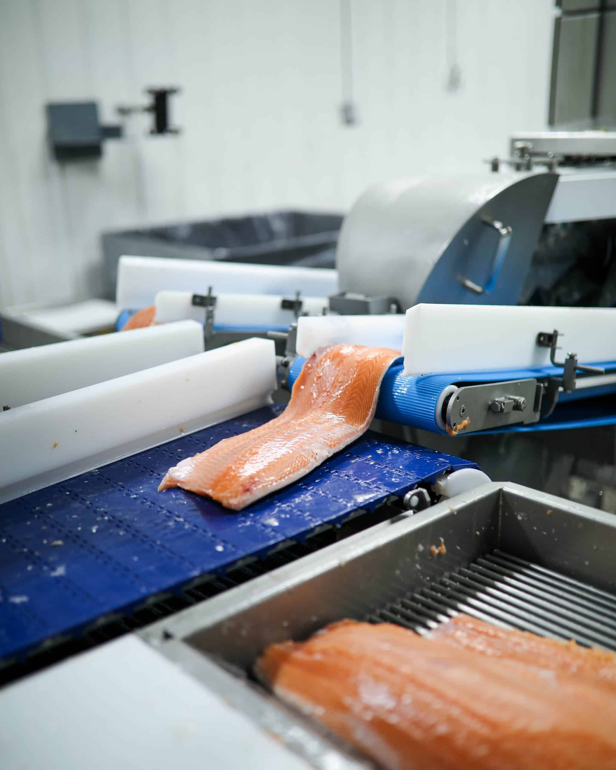 Services – Golden State Seafood